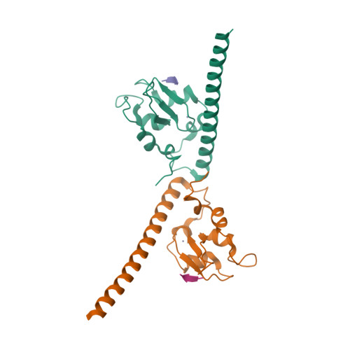 RCSB PDB - 3UII: crystal structure of human Survivin in complex with H3 ...