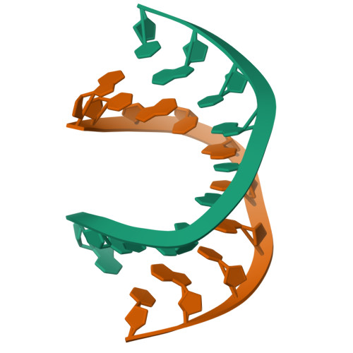 RCSB PDB - 3UKB: (R)-cEt-BNA decamer structure