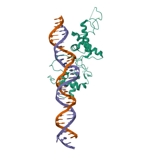 RCSB PDB - 3UKG: Crystal structure of Rap1/DNA complex