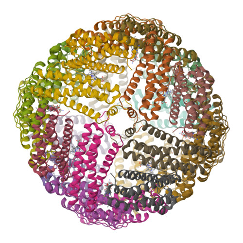 RCSB PDB - 3UOF: Mycobacterium tuberculosis bacterioferritin, BfrA