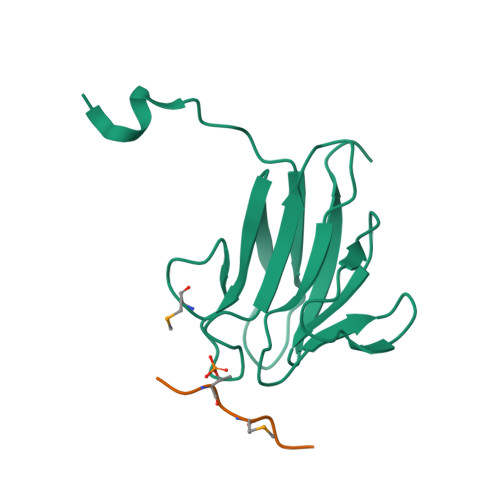 RCSB PDB - 3UOT: Crystal Structure of MDC1 FHA Domain in Complex with a ...