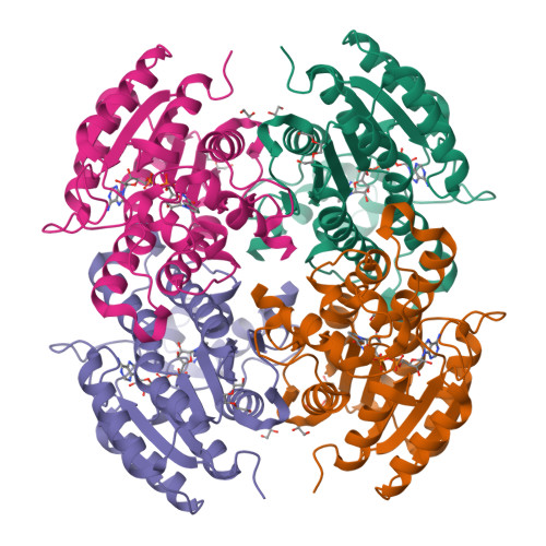 RCSB PDB - 3UVE: Crystal structure of Carveol dehydrogenase ((+)-trans ...