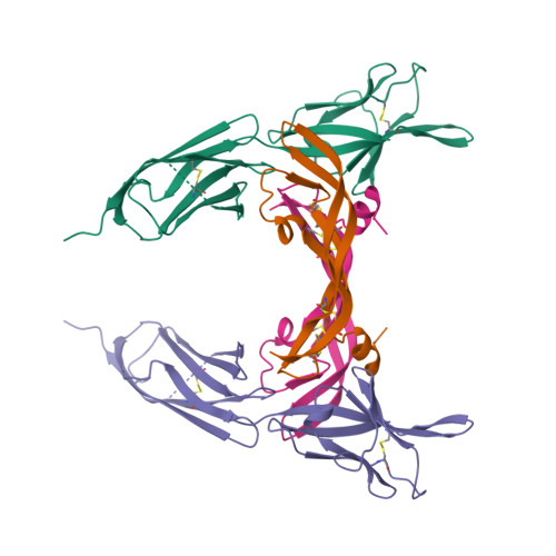 RCSB PDB - 3V2A: VEGFR-2/VEGF-A COMPLEX STRUCTURE