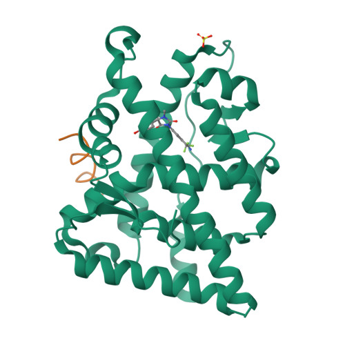 RCSB PDB - 3V49: Structure of ar lbd with activator peptide and sarm ...