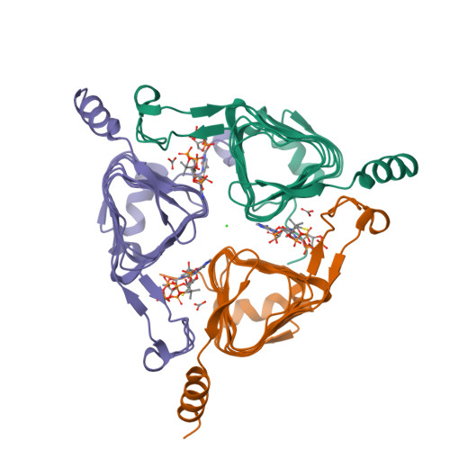 RCSB PDB - 3VBM: Crystal Structure of the S84T mutant of AntD, an N ...
