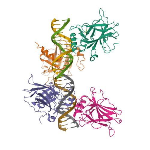 RCSB PDB - 3VD2: structure of p73 DNA binding domain tetramer modulates ...