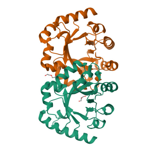 RCSB PDB - 3VE9: Crystal structure of orotidine 5'-monophosphate ...