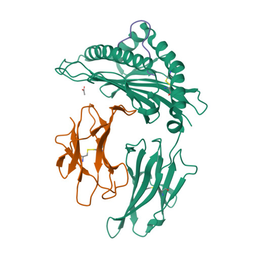 RCSB PDB - 3VFP: crystal structure of HLA B*3508 LPEP158G, HLA mutant ...