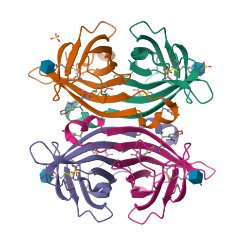 RCSB PDB - 3VHM: Crystal structure of NPC-biotin-avidin complex