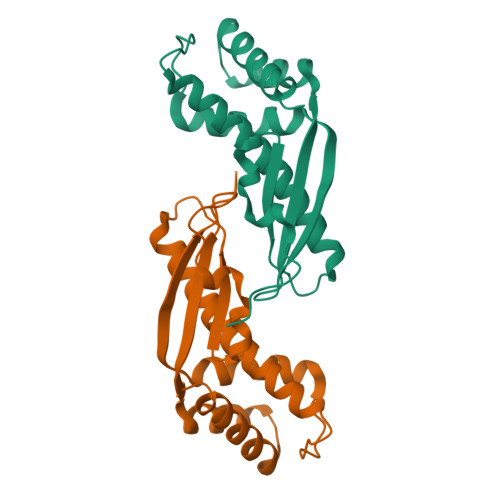 RCSB PDB - 3VNC: Crystal Structure of TIP-alpha N25 from Helicobacter ...