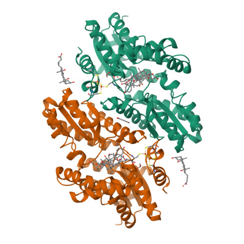RCSB PDB - 3W1W: Protein-drug complex