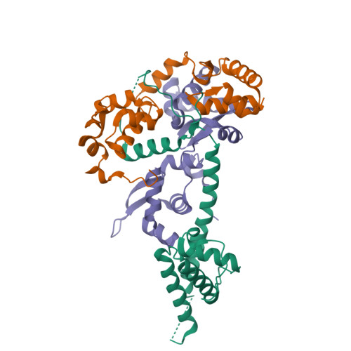 RCSB PDB - 3W6J: Crystal structure of ScpAB core complex