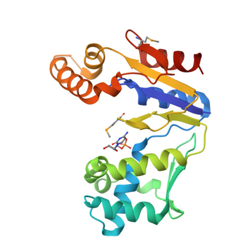 RCSB PDB - 3W8N: Open form structure of CMP kinase in complex with CMP ...