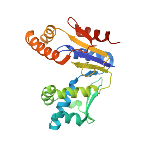 RCSB PDB - 3W90: Crystal structure of CMP kinase from Thermus ...