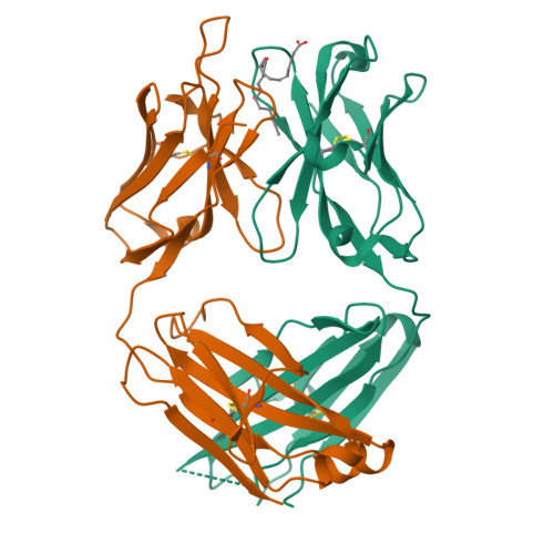 RCSB PDB - 3WFH: Crystal structure of anti-Prostaglandin E2 Fab ...