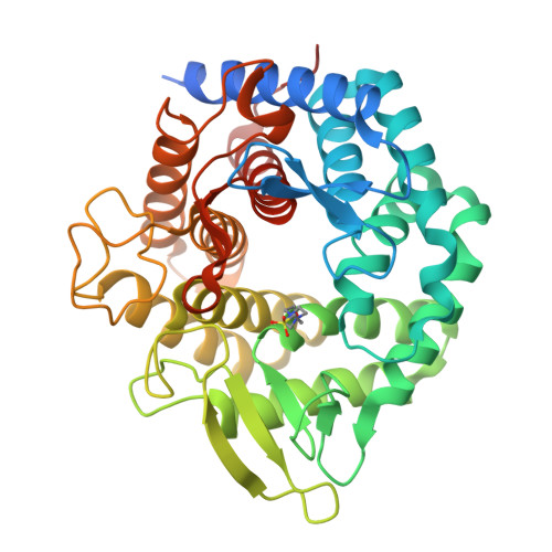 RCSB PDB - 3WIW: Crystal structure of unsaturated glucuronyl hydrolase ...