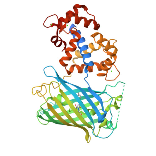 RCSB PDB - 3WLD: Crystal structure of monomeric GCaMP6m