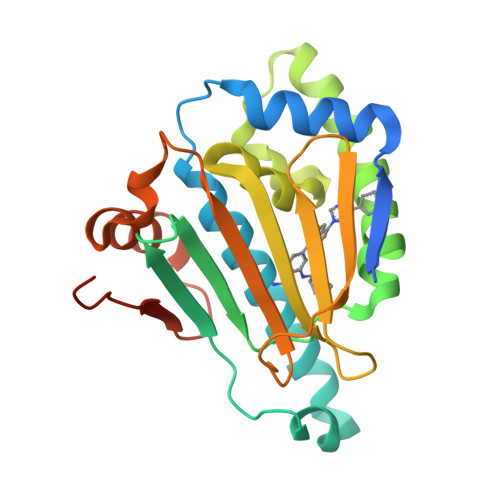 RCSB PDB - 3WQ9: Crystal structure of Hsp90-alpha N-terminal domain in ...