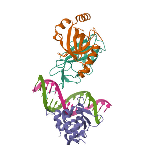 RCSB PDB - 3WTS: Crystal structure of the complex comprised of ETS1 ...