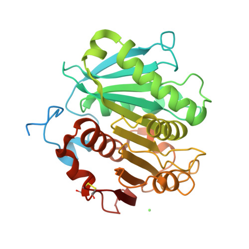 RCSB PDB - 3WYN: Structure of calcium bound cutinase Est119 from ...