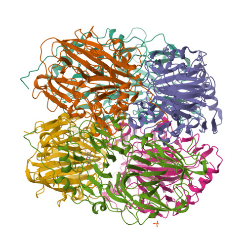 RCSB PDB - 3ZDS: Structure of homogentisate 1,2-dioxygenase in complex ...