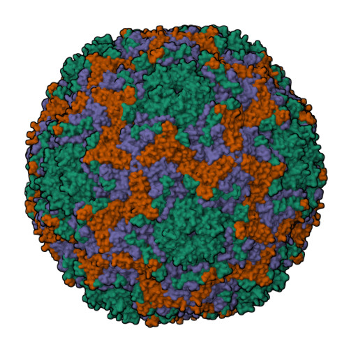 RCSB PDB - 3ZFF: Human enterovirus 71 in complex with capsid binding ...