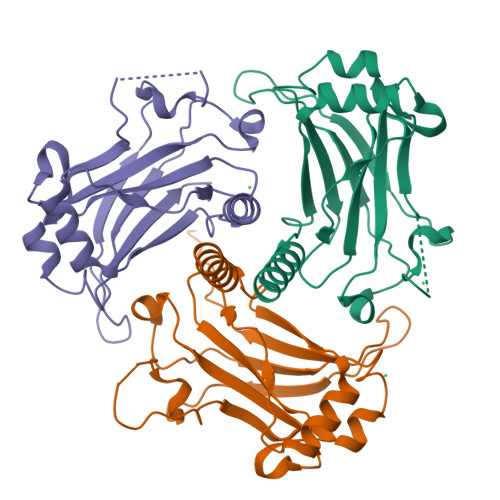 RCSB PDB - 3ZJB: The structure of the TRAF domain of human TRAF4