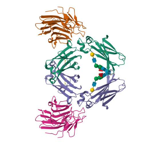 RCSB PDB - 3ZO0: Mouse IgG2a in complex with mouse TRIM21 PRYSPRY