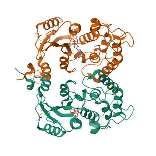 RCSB PDB - 3ZWP: Crystal structure of ADP ribosyl cyclase complexed ...
