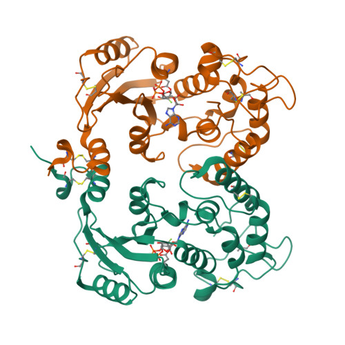 RCSB PDB - 3ZWW: Crystal structure of ADP-ribosyl cyclase complexed ...