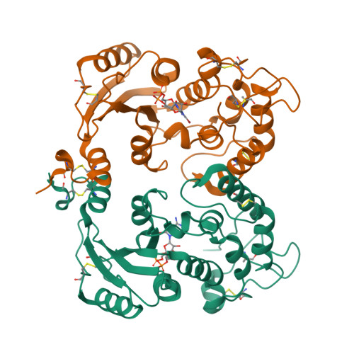 RCSB PDB - 3ZWY: Crystal structure of ADP-ribosyl cyclase complexed ...