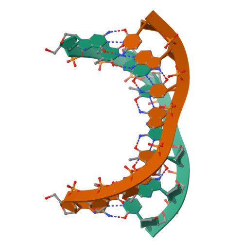 RCSB PDB - 481D: CRYSTAL STRUCTURE OF A HEXITOL NUCLEIC ACID (HNA ...