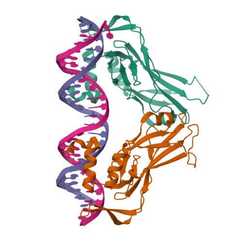 RCSB PDB - 4A04: Structure of the DNA-bound T-box domain of human TBX1 ...