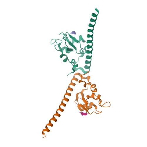RCSB PDB - 4A0I: Crystal structure of Survivin bound to the N-terminal ...