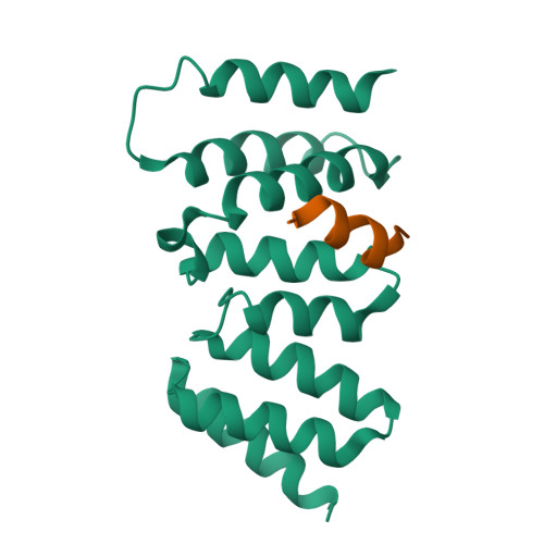 RCSB PDB - 4A1G: The crystal structure of the human Bub1 TPR domain in ...