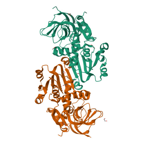 RCSB PDB - 4A27: Crystal structure of human synaptic vesicle membrane ...