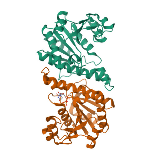 RCSB PDB - 4A7X: Crystal structure of uridylate kinase from ...