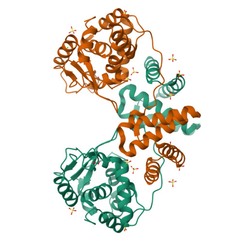 RCSB PDB - 4A8E: The structure of a dimeric Xer recombinase from archaea