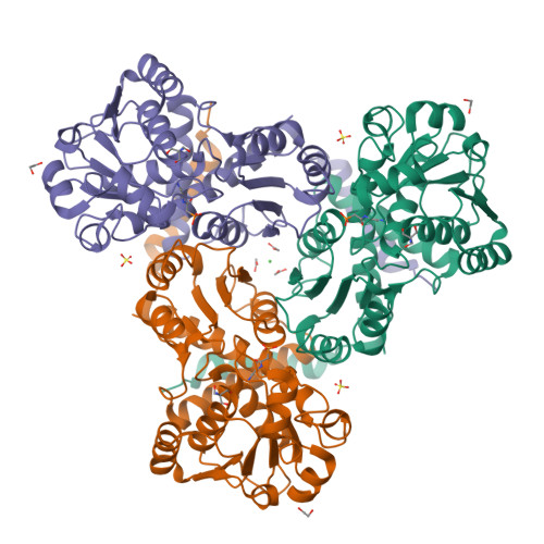 RCSB PDB - 4A8H: Crystal structure of putrescine transcarbamylase from ...
