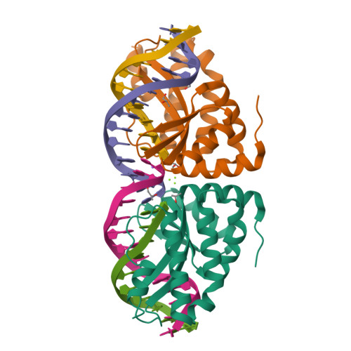 RCSB PDB - 4AAB: Crystal structure of the mutant D75N I-CreI in complex ...