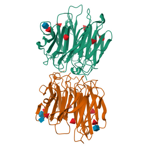 RCSB PDB - 4AHA: Crystal Structure of Fucose binding lectin from ...