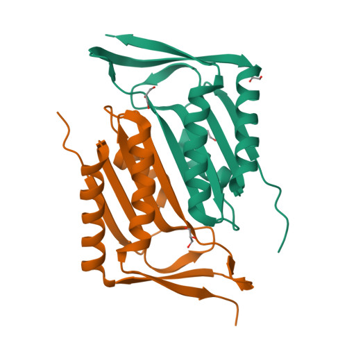 RCSB PDB - 4AP8: Crystal structure of human Molybdopterin synthase ...