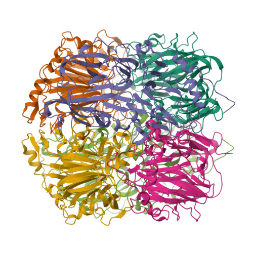 RCSB PDB - 4AQ2: resting state of homogentisate 1,2-dioxygenase