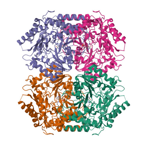RCSB PDB - 4ATP: Structure of GABA-transaminase A1R958 from ...