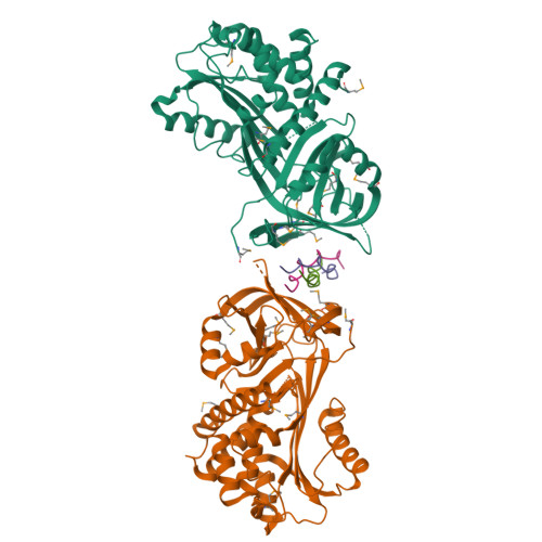 RCSB PDB - 4AU3: Crystal Structure of a Hsp47-collagen complex
