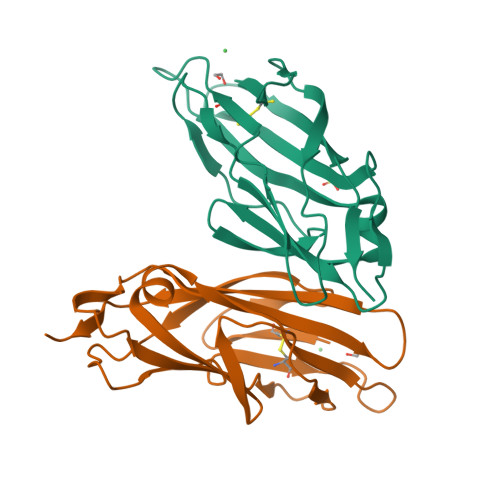 RCSB PDB - 4AUU: Crystal structure of apo FimH lectin domain at 1.5 A ...