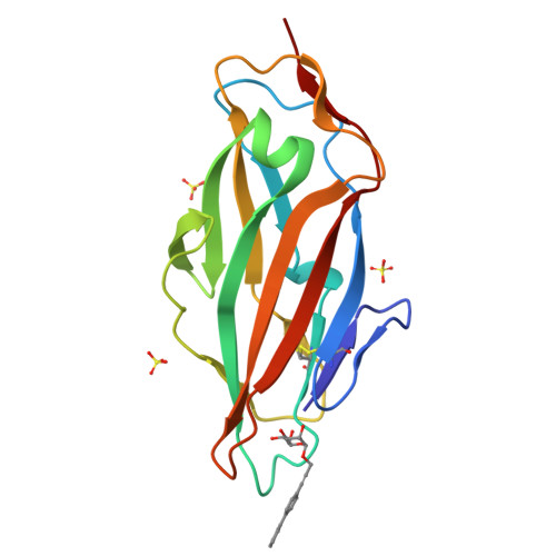 RCSB PDB - 4AV5: Structure of a triclinic crystal of the FimH lectin ...
