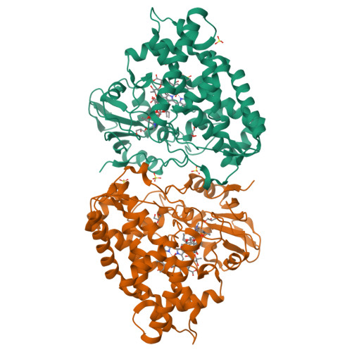 RCSB PDB - 4AW3: Structure of the mixed-function P450 MycG F286V mutant ...