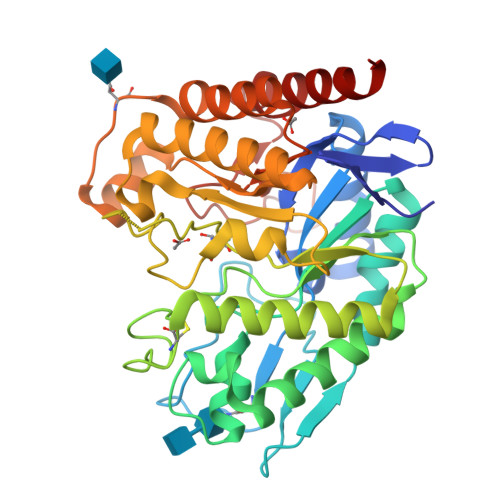 RCSB PDB - 4AWE: The Crystal Structure of Chrysonilia sitophila endo ...