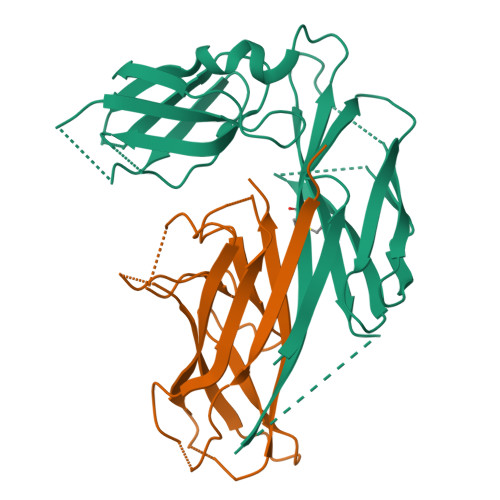RCSB PDB - 4AYF: Crystal structure of the complex of the Caf1M:Caf1 ...